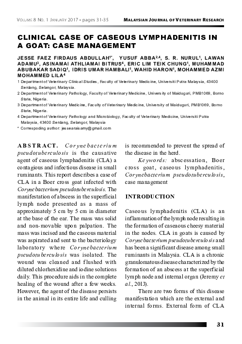 (PDF) CLINICAL CASE OF CASEOUS LYMPHADENITIS IN A GOAT: CASE MANAGEMENT