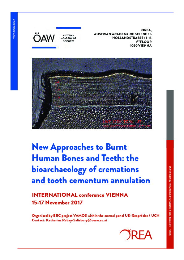 (PDF) New Approaches to Burnt Human Bones and Teeth: the bioarchaeology ...