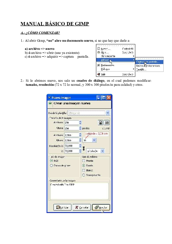 (PDF) MANUAL BÁSICO DE GIMP