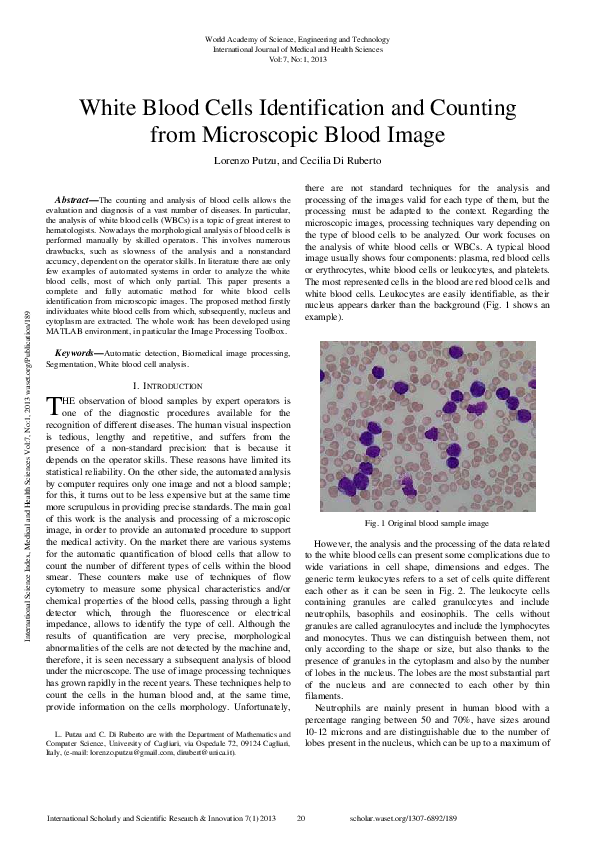 (PDF) White blood cells identification and counting from microscopic ...