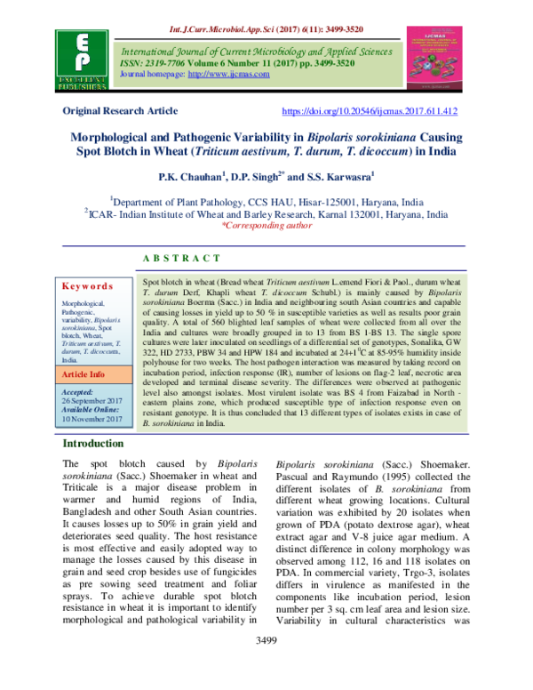 (PDF) Morphological and Pathogenic Variability in Bipolaris sorokiniana ...