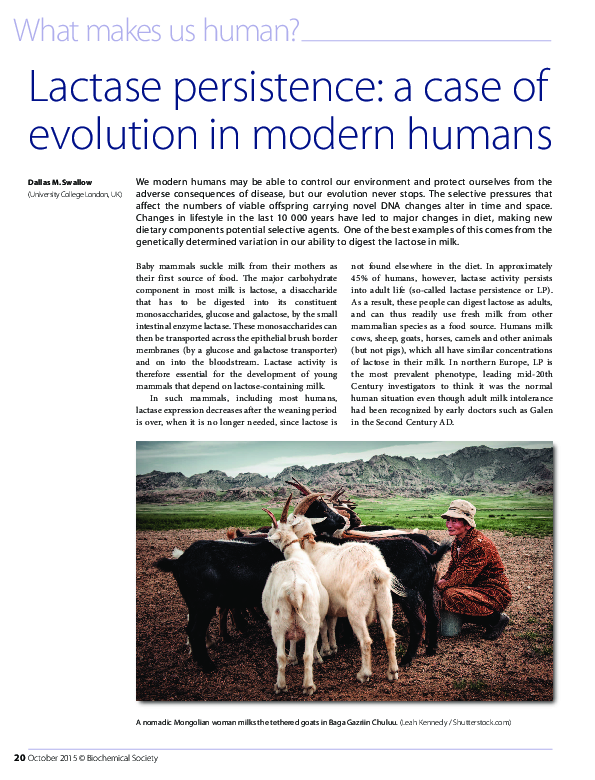 (PDF) Lactase persistence a case of evolution in modern humans