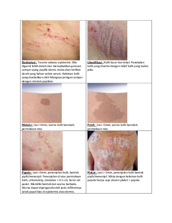 (DOC) Gambar Makroskopi UKK