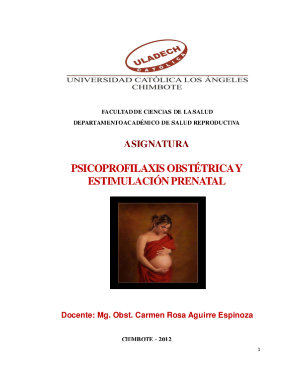 (PDF) FACULTAD DE CIENCIAS DE LA SALUD DEPARTAMENTO ACADÉMICO DE SALUD REPRODUCTIVA ...