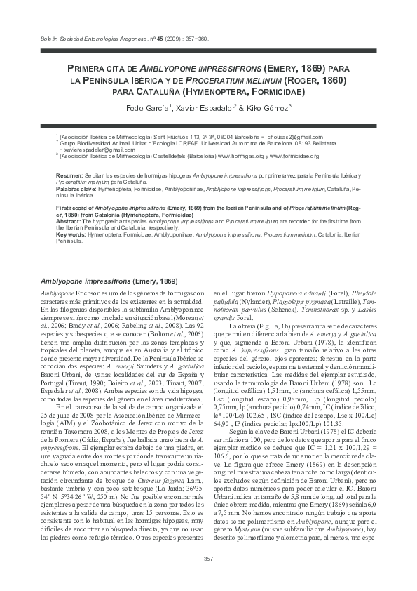 (PDF) Primera cita de Amblyopone impressifrons (Emery, 1869) para la ...