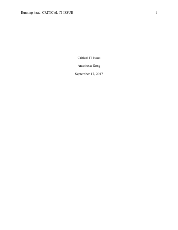 (DOC) CRITICAL IT ISSUE.docx
