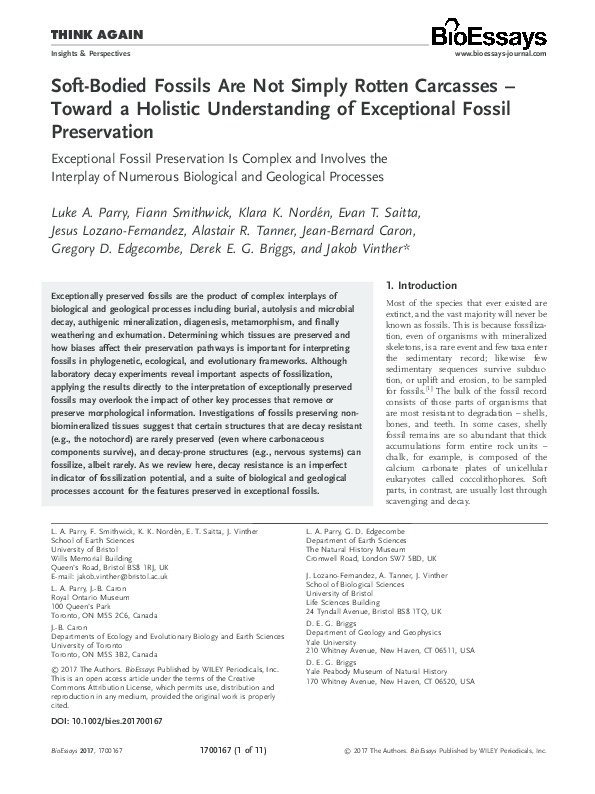 (PDF) Soft-Bodied Fossils Are Not Simply Rotten Carcasses – Toward a ...