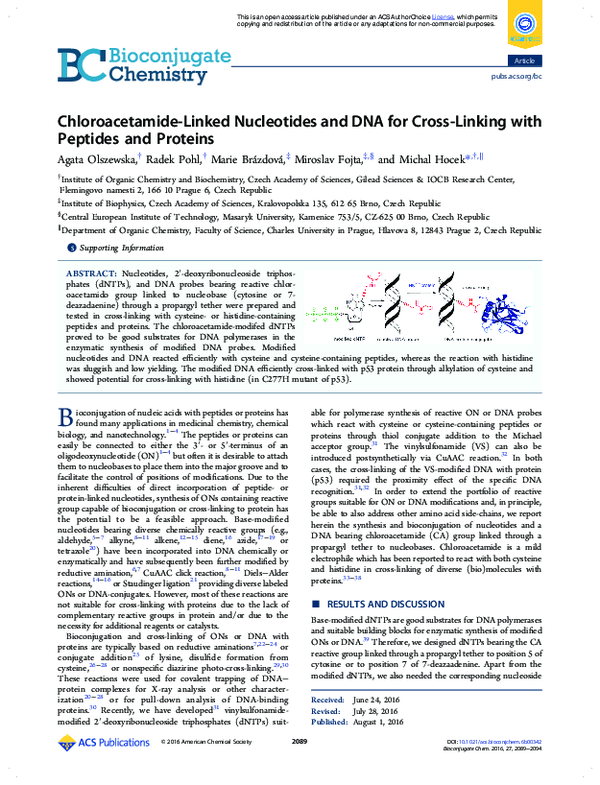 (PDF) Chloroacetamide-Linked Nucleotides and DNA for Cross-Linking with ...