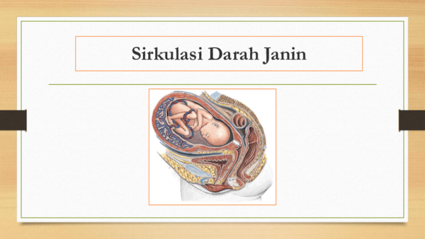 (PPT) Sirkulasi darah janin