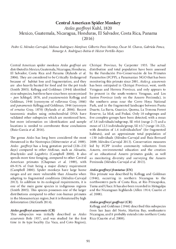 (PDF) Primates in Peril Central America Spider Monkey 2016 2018