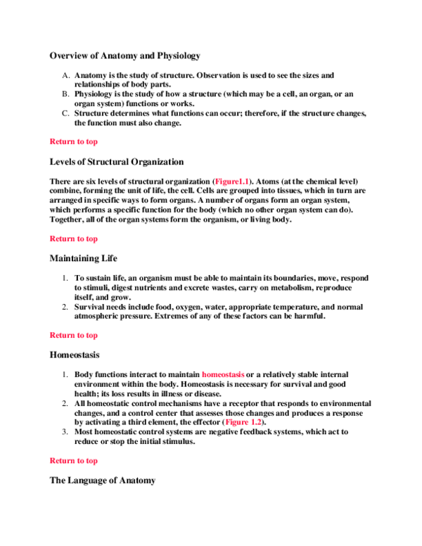 (DOC) Overview of Anatomy and Physiology