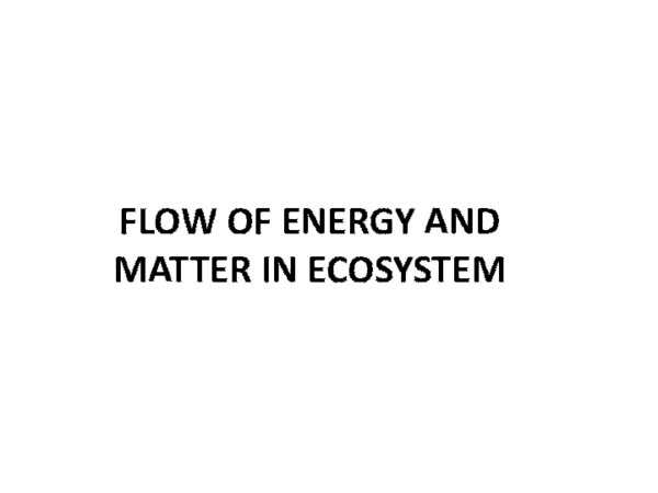 (PPT) FLOW OF ENERGY AND MATTER IN ECOSYSTEM