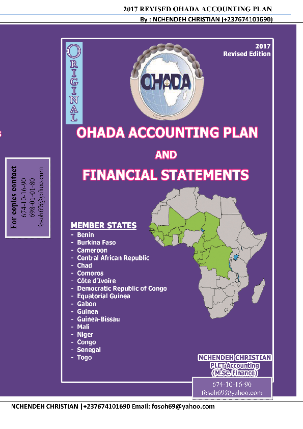 (PDF) OHADA Financial Statements in English