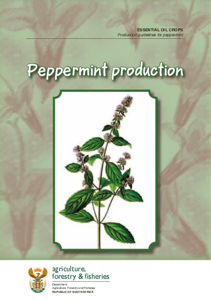(PDF) Peppermint production ESSENTIAL OIL CROPS Production guidelines ...