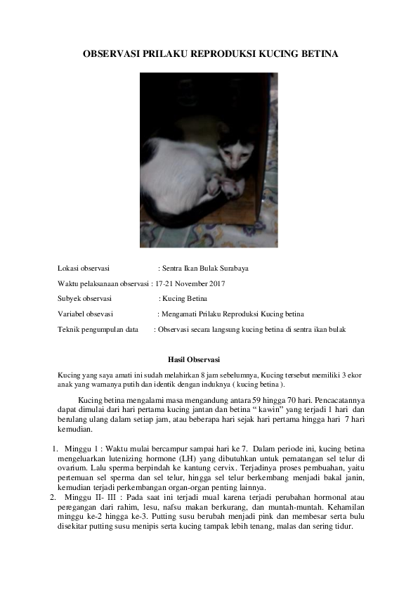 (DOC) OBSERVASI PRILAKU REPRODUKSI KUCING BETINA | Impian II - Academia.edu