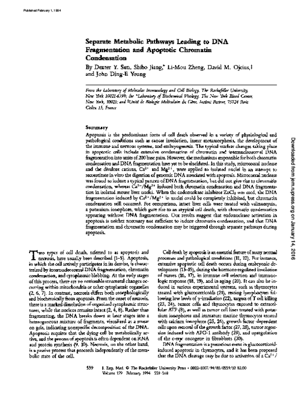 (PDF) Separate metabolic pathways leading to DNA fragmentation and ...