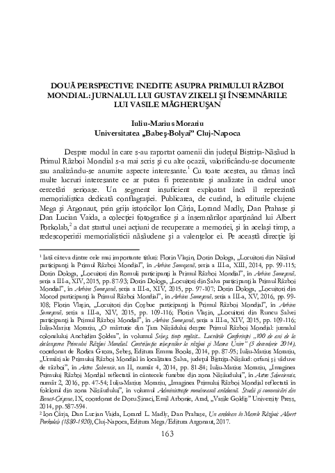 (PDF) Iuliu-Marius MORARIU, Doua perspective inedite asupra Primului ...