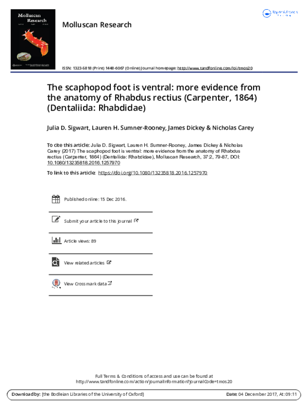 (PDF) The scaphopod foot is ventral: more anatomical evidence from ...