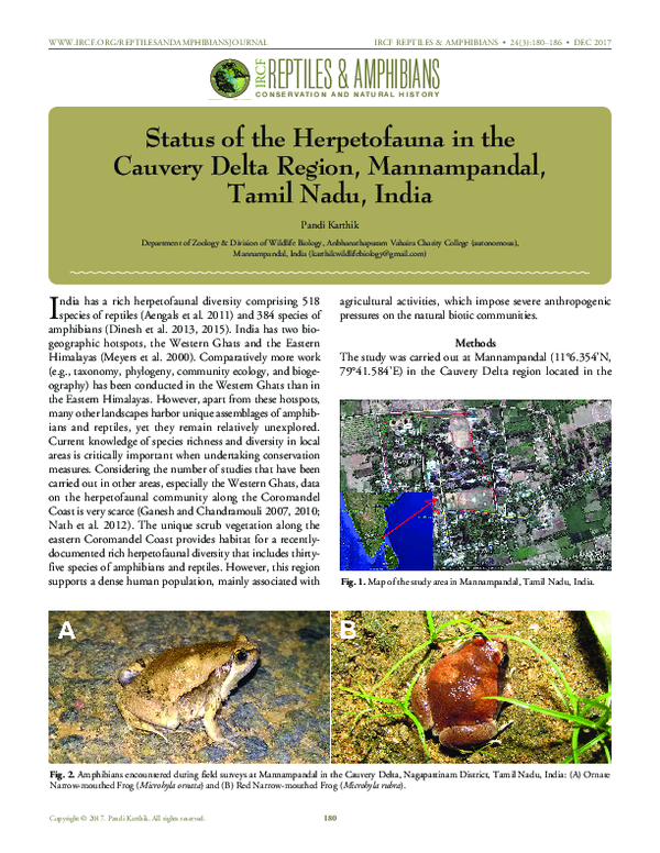 (PDF) Status of the Herpetofauna in the Cauvery Delta Region ...