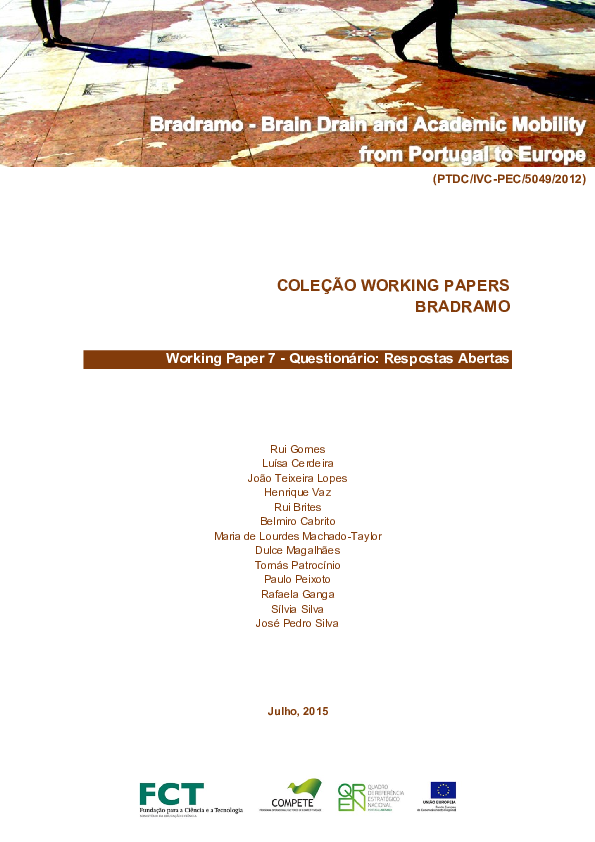 (PDF) Working Paper 7 - Questionário: Respostas Abertas