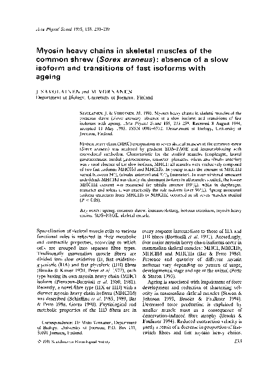 (PDF) Myosin heavy chains in skeletal muscles of the common shrew ...