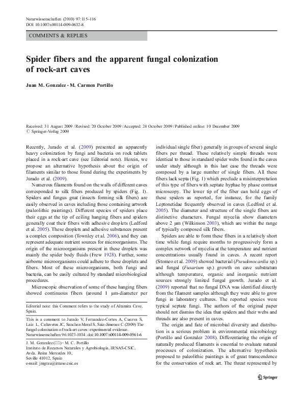 (PDF) Spider fibers and the apparent fungal colonization of rock-art caves