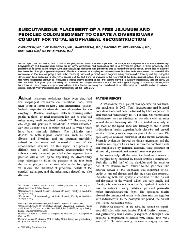 (PDF) Subcutaneous placement of a free jejunum and pedicled colon ...
