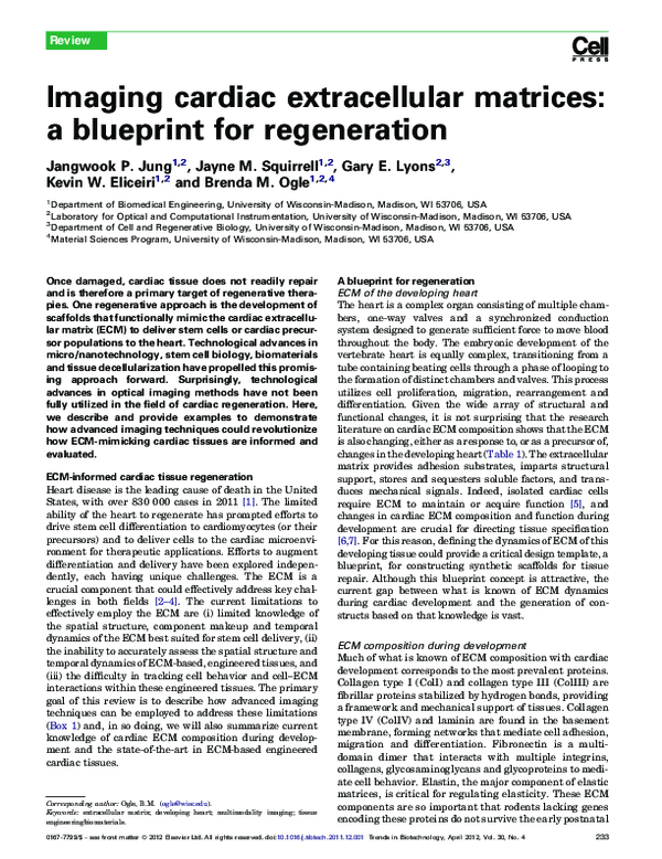 (PDF) Imaging cardiac extracellular matrices: a blueprint for regeneration