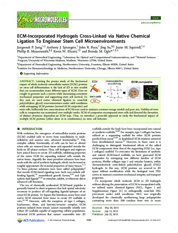 (PDF) ECM-incorporated hydrogels cross-linked via native chemical ...