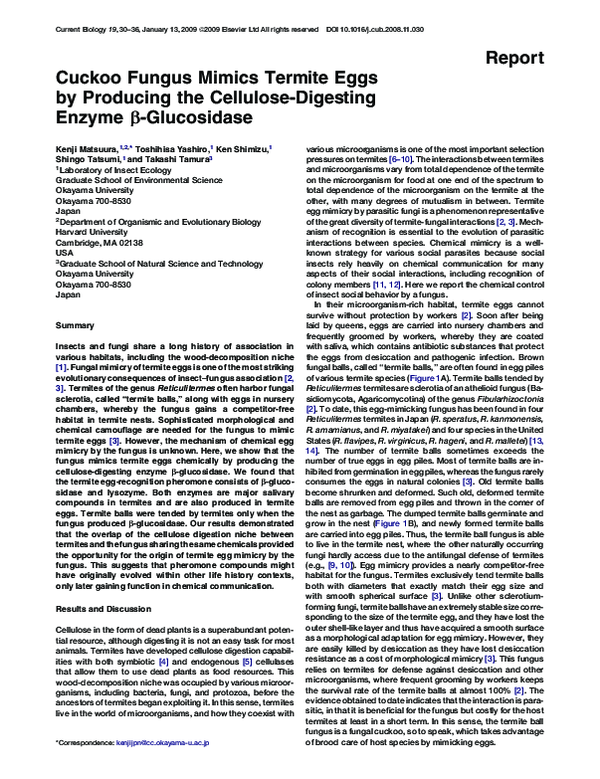 (PDF) Cuckoo Fungus Mimics Termite Eggs by Producing the Cellulose ...
