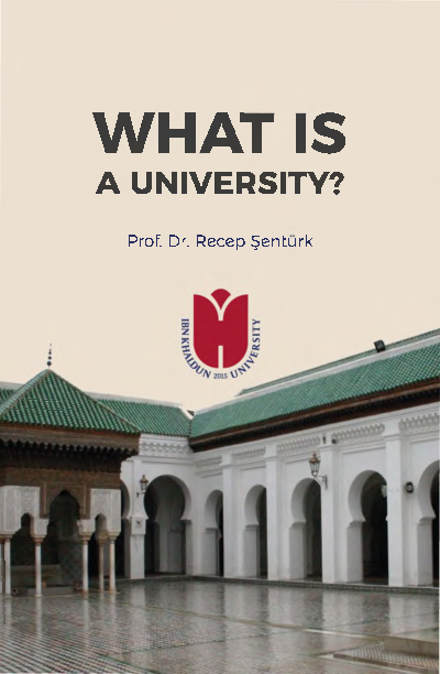 (PDF) What is a university?