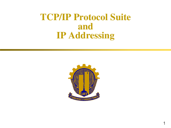 Tcp Ip Protocol Suite And Ip Addressing Ppsx