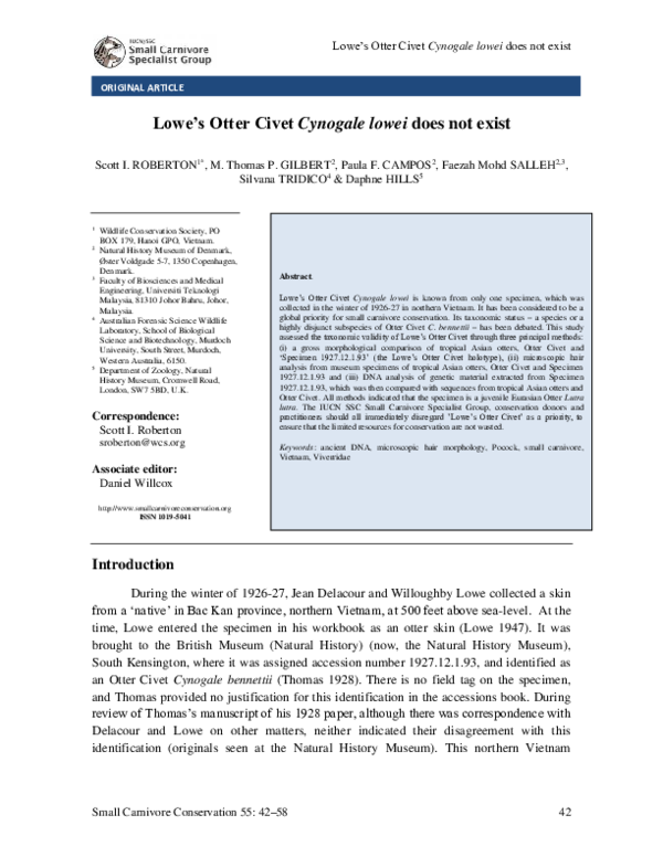 (PDF) Lowe's Otter Civet Cynogale lowei does not exist