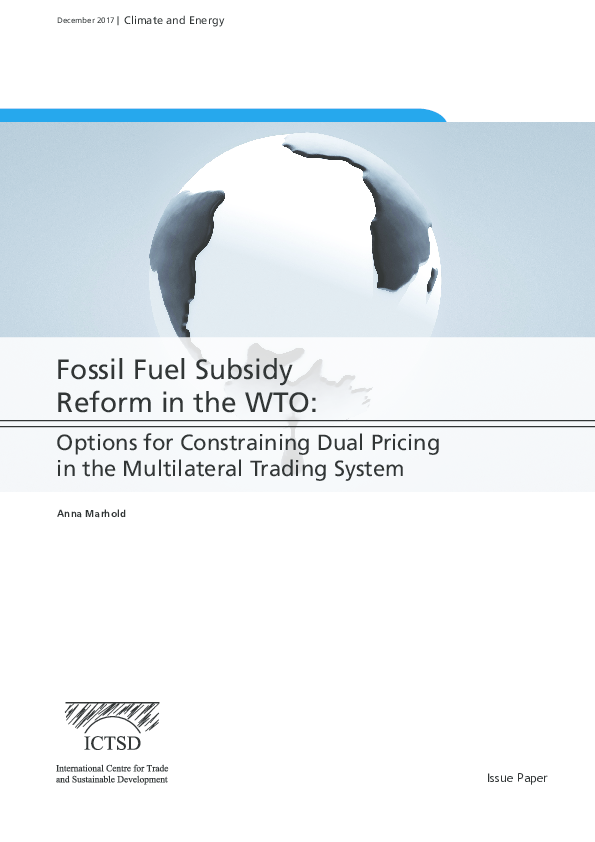 (PDF) Fossil Fuel Subsidy Reform in the WTO: Options for Constraining Dual Pricing in the ...