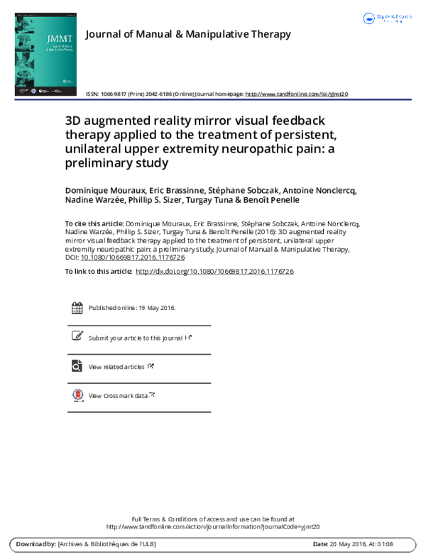(PDF) 3D augmented reality mirror visual feedback therapy applied to ...