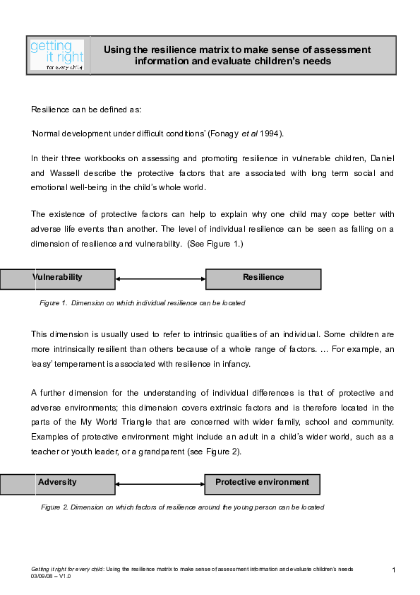 (DOC) Using the resilience matrix to make sense of assessment ...