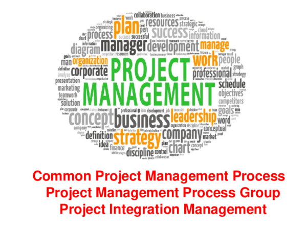 Ppt Presentation On Project Management Pptx