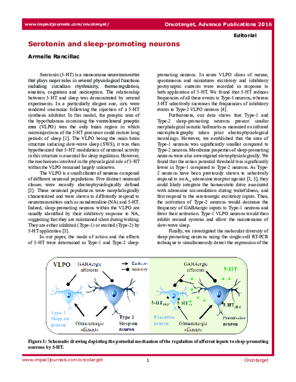 (PDF) Serotonin and sleep-promoting neurons