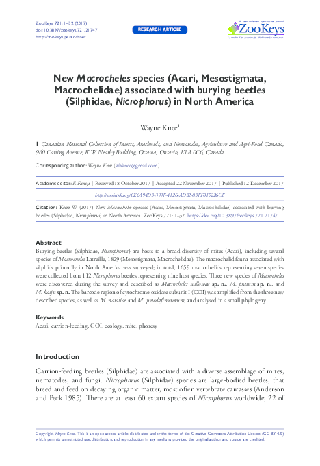 (PDF) New Macrocheles species (Acari, Mesostigmata, Macrochelidae ...