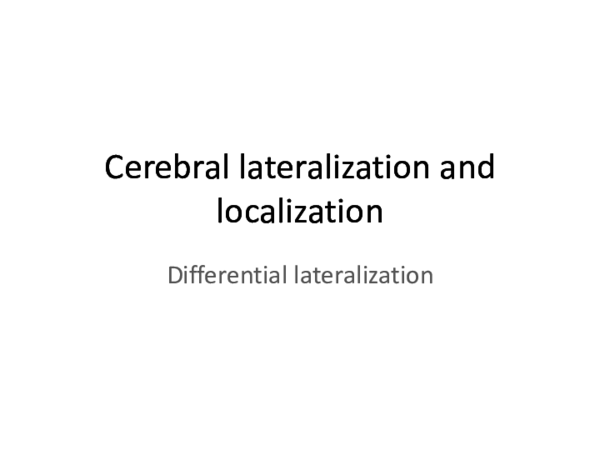 (PPT) Cerebral lateralization and localization presentation