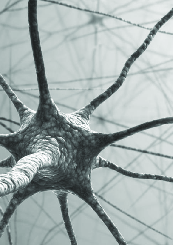 (PDF) Exegesis_Tara_Cooney_2016.pdf