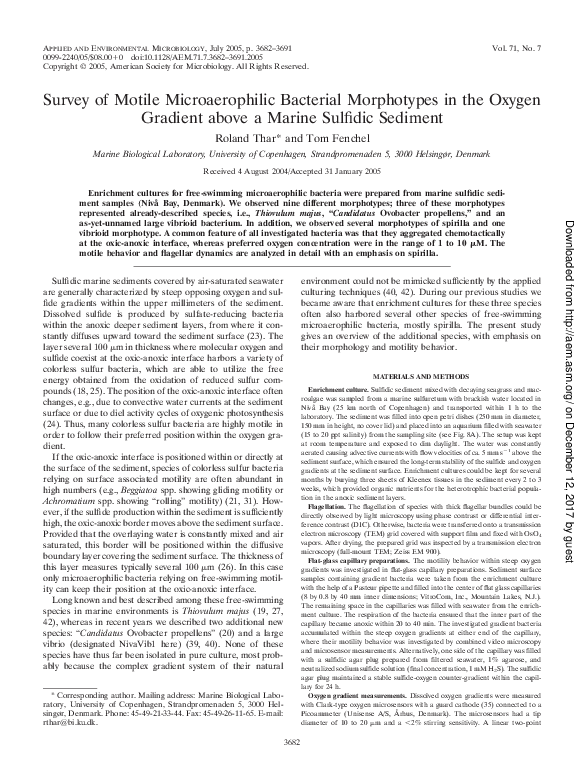 (PDF) Survey of Motile Microaerophilic Bacterial Morphotypes in the ...