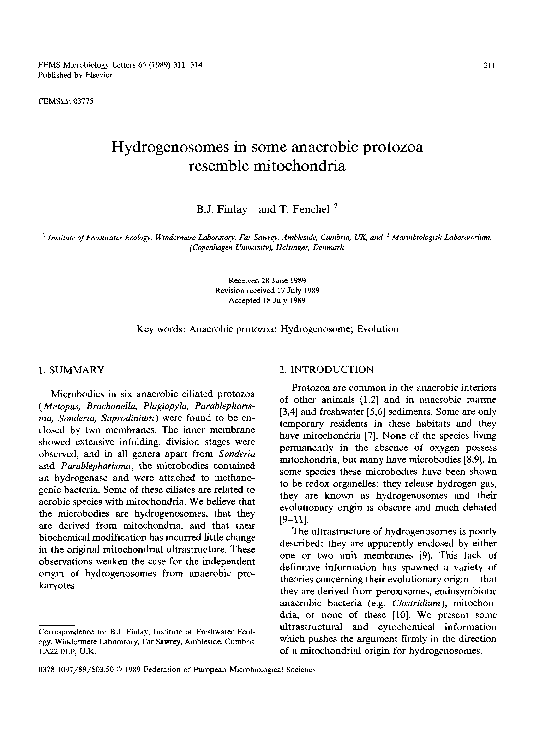 (PDF) Hydrogenosomes in some anaerobic protozoa resemble mitochondria