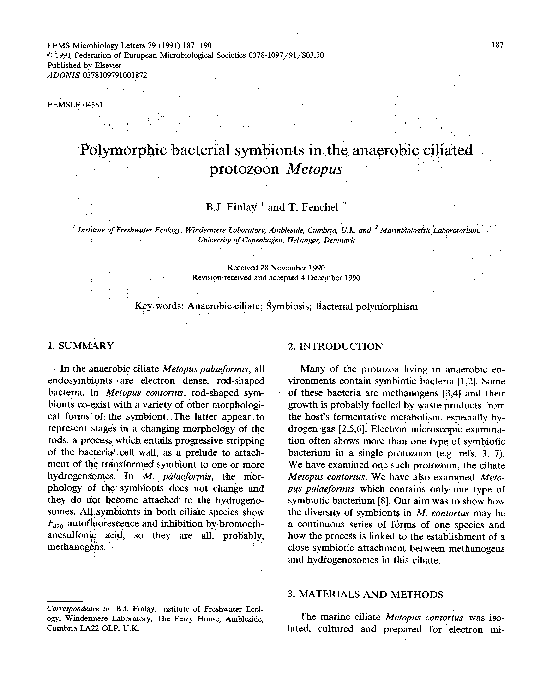 (PDF) Polymorphic bacterial symbionts in the anaerobic ciliated ...