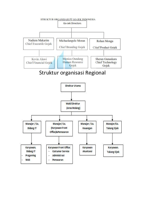 (DOC) Struktur organisasi Regional