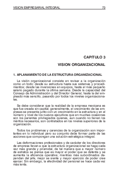 (PDF) VISION EMPRESARIAL INTEGRAL 73 CAPITULO 3 VISION ORGANIZACIONAL