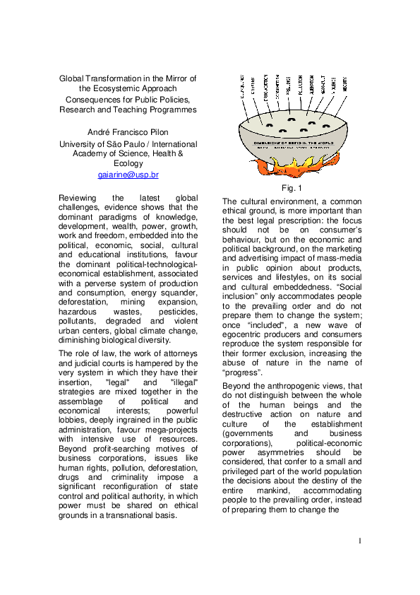 Global Transformation in the Mirror of the Ecosystemic Approach Copy