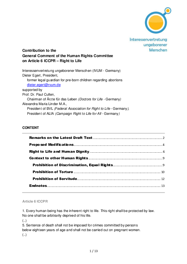 (PDF) Contribution to the General Comment of the Human Rights Committee ...