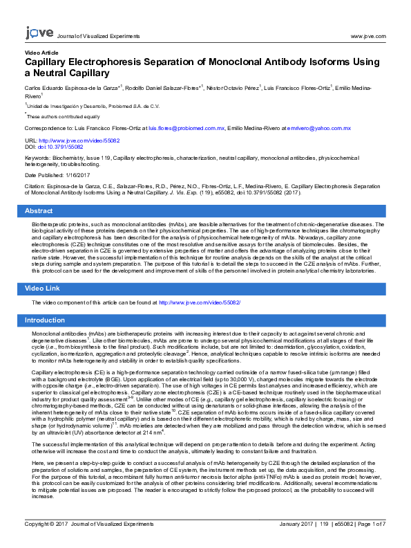 (PDF) Capillary Electrophoresis Separation of Monoclonal Antibody ...