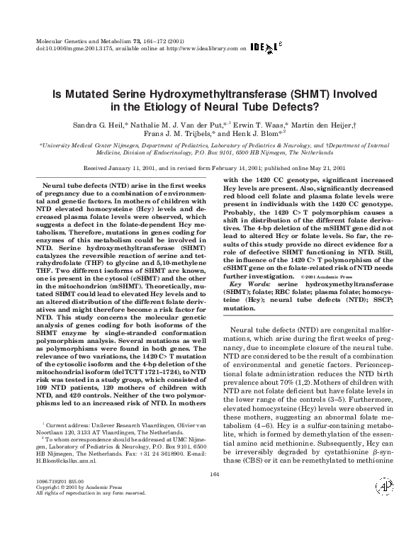 (PDF) SHMT Mutation and Neural Tube Defects Risk